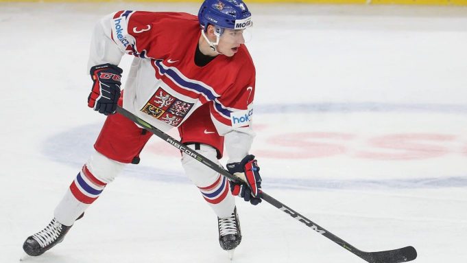 New York Rangers prospect Libor Hajek is already close to NHL-ready