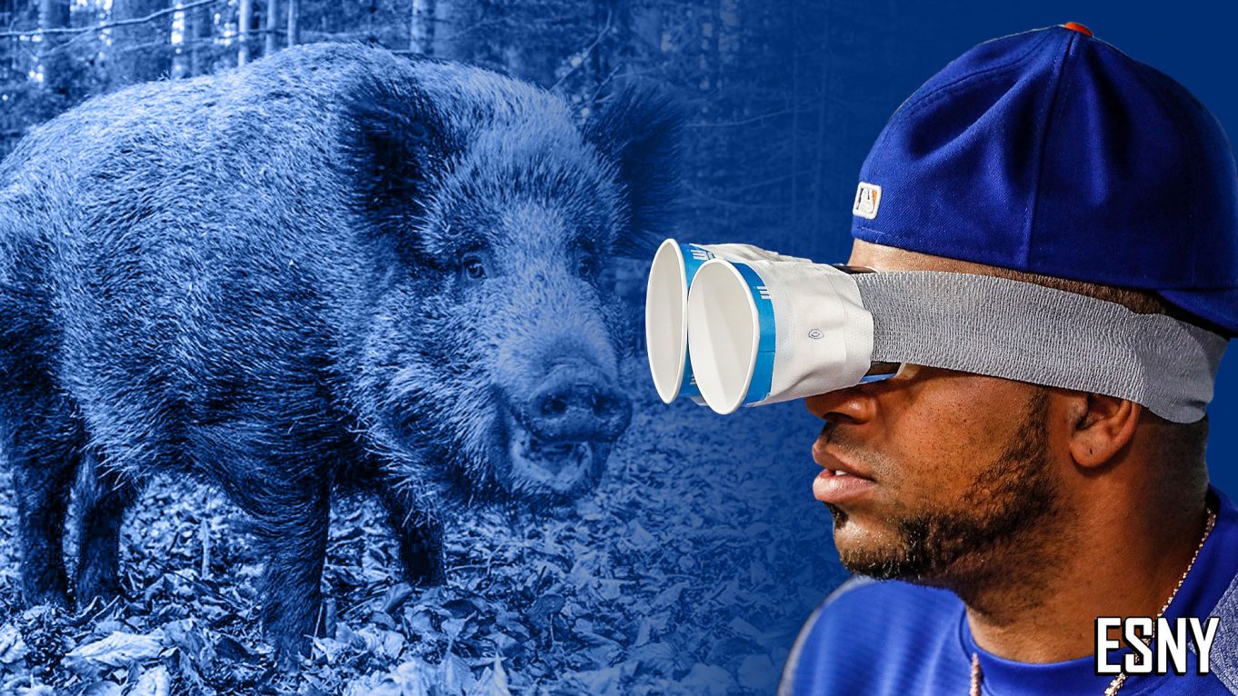 Yoenis Céspedes' wild boar injury is the story of New York Mets fandom